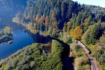 City of Newport, OR :: 60+ Activity Center - Trips